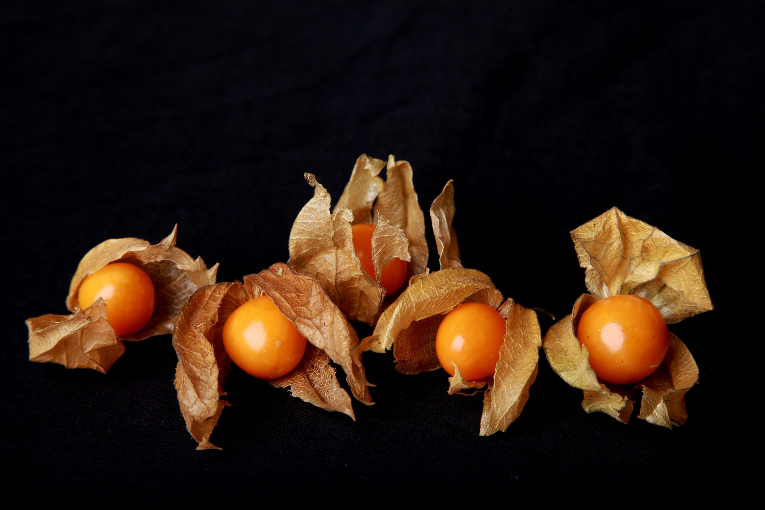 What’s it called – physalis