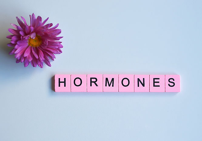 Hormonal health and nutrition - Thrive Magazine